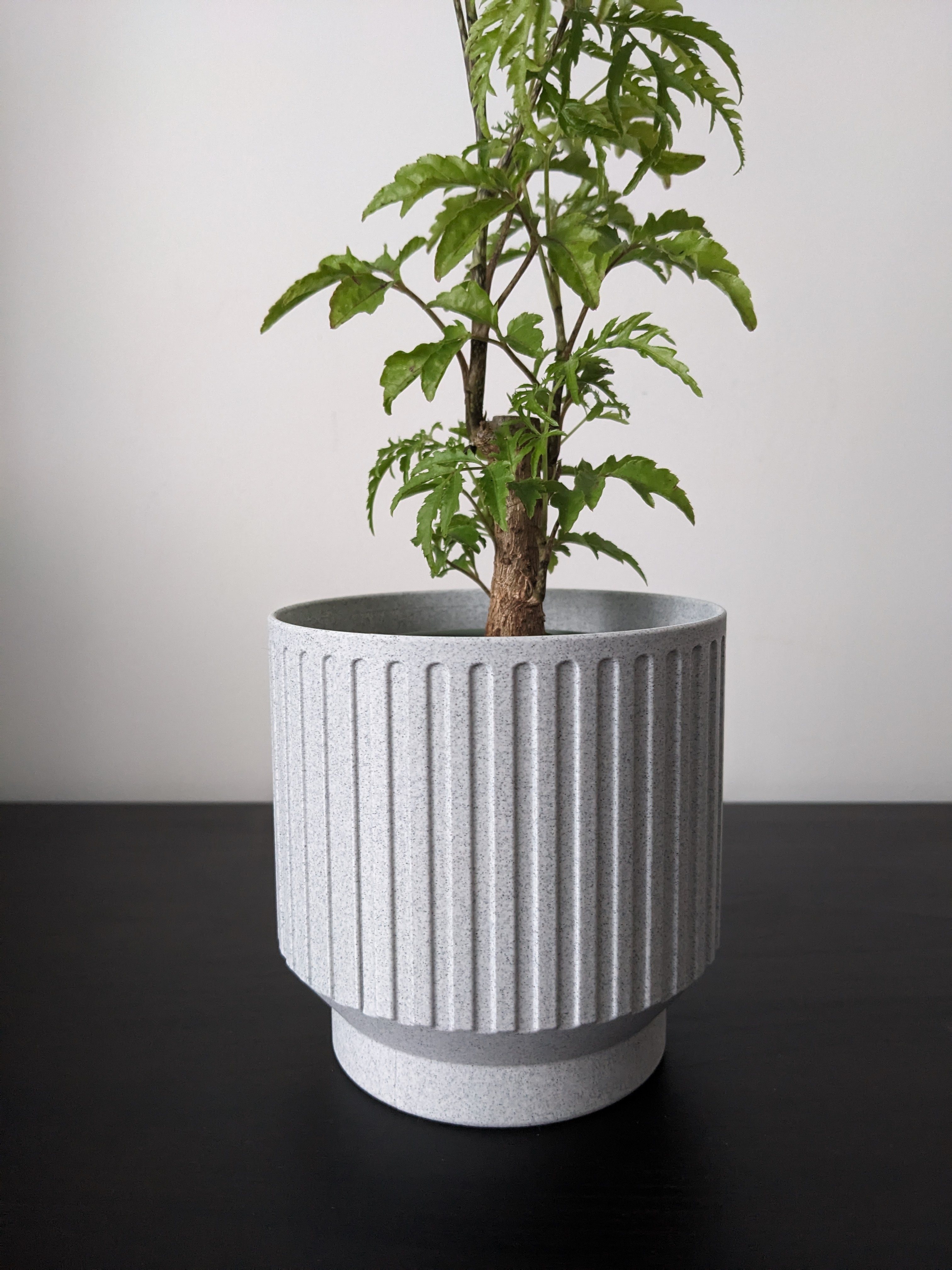 Greek Pillar Planter by Tycho Design | Download free STL model | Printables.com