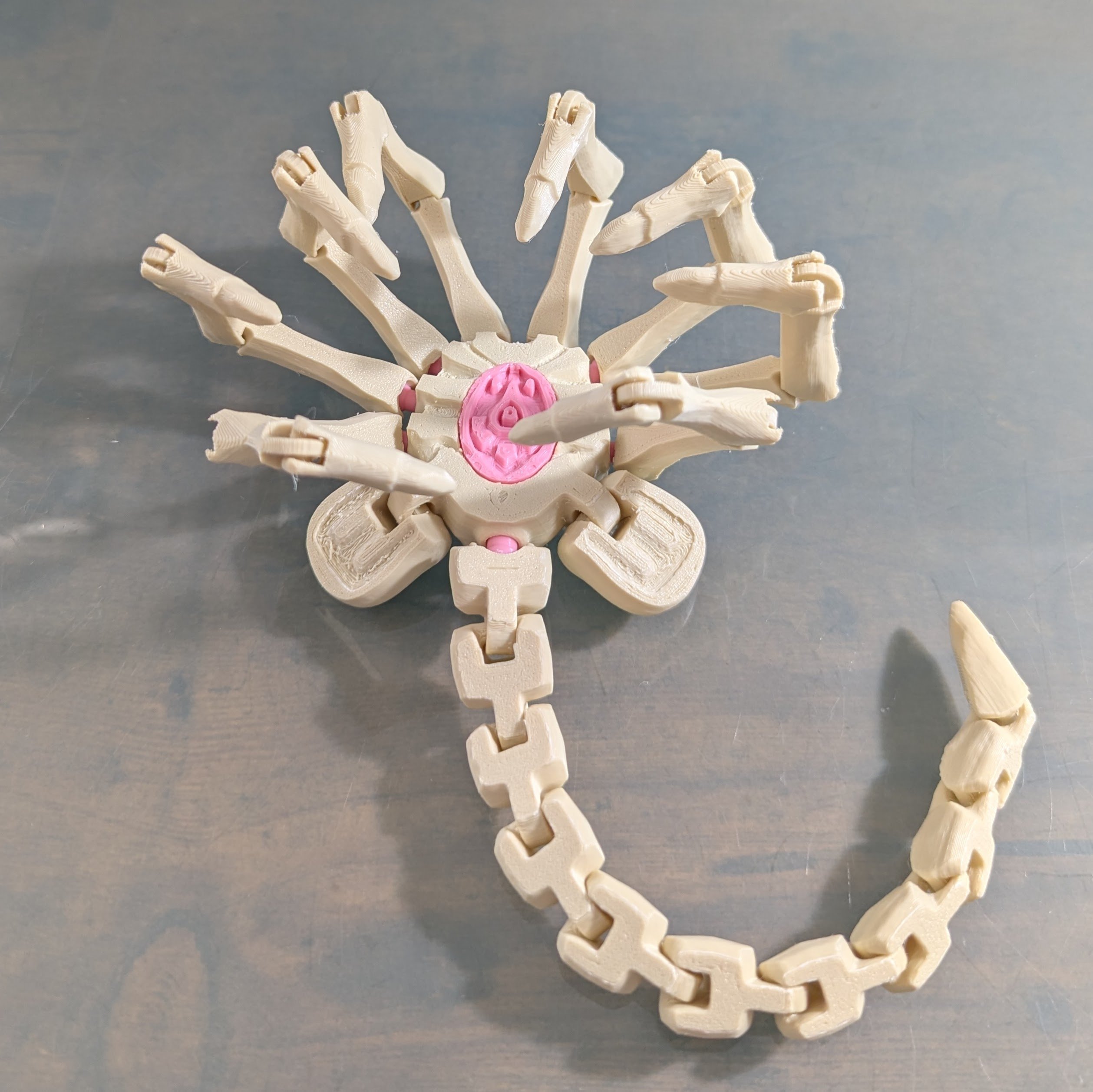 Semi-Posable Flexi Facehugger by Wizzard | Download free STL model ...