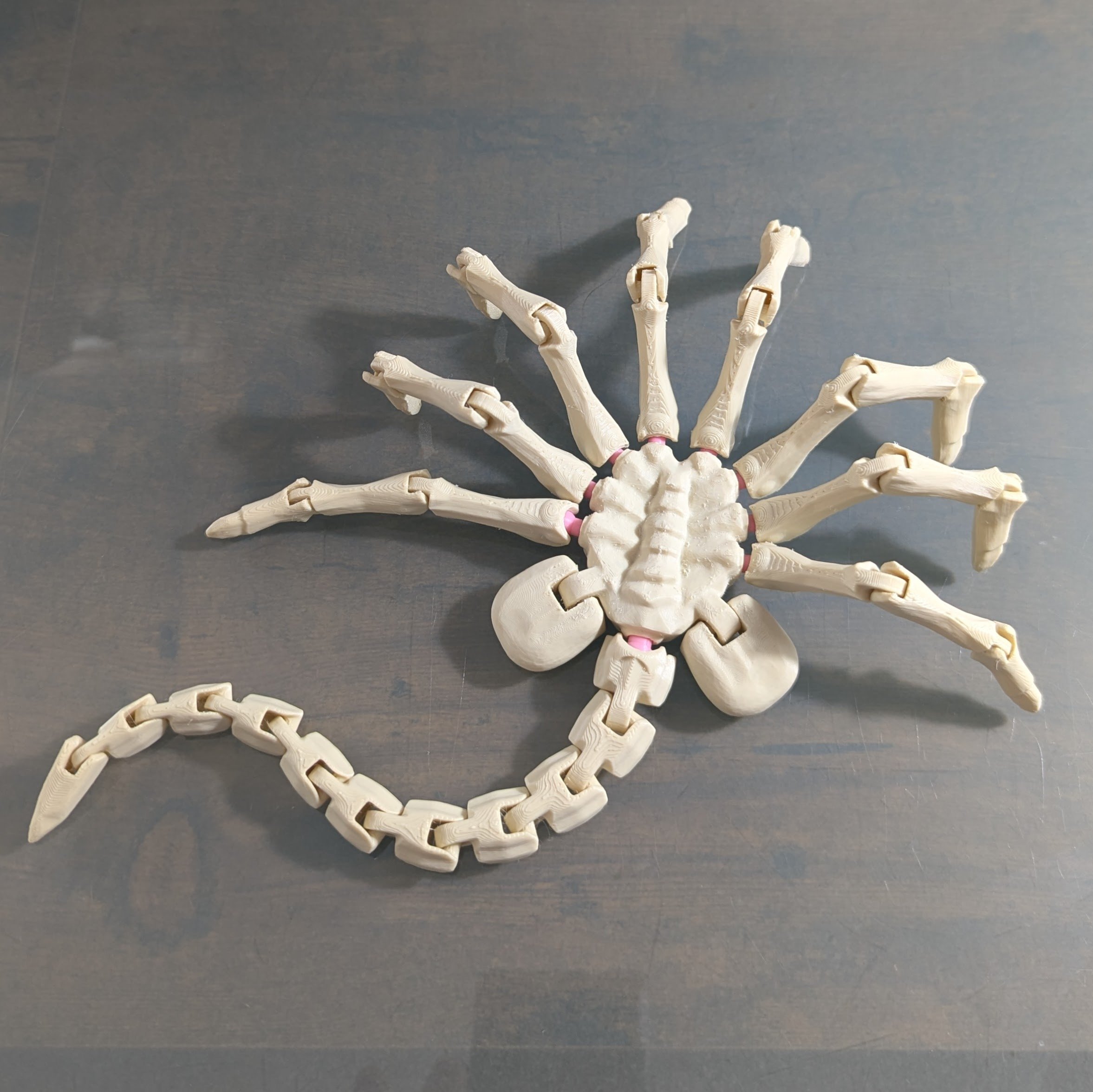 Semi-Posable Flexi Facehugger by Wizzard | Download free STL model ...