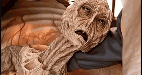 12-Hour Filament (PETG/ASA/ABS) Drying GCode for Bambu Lab P1S by ...