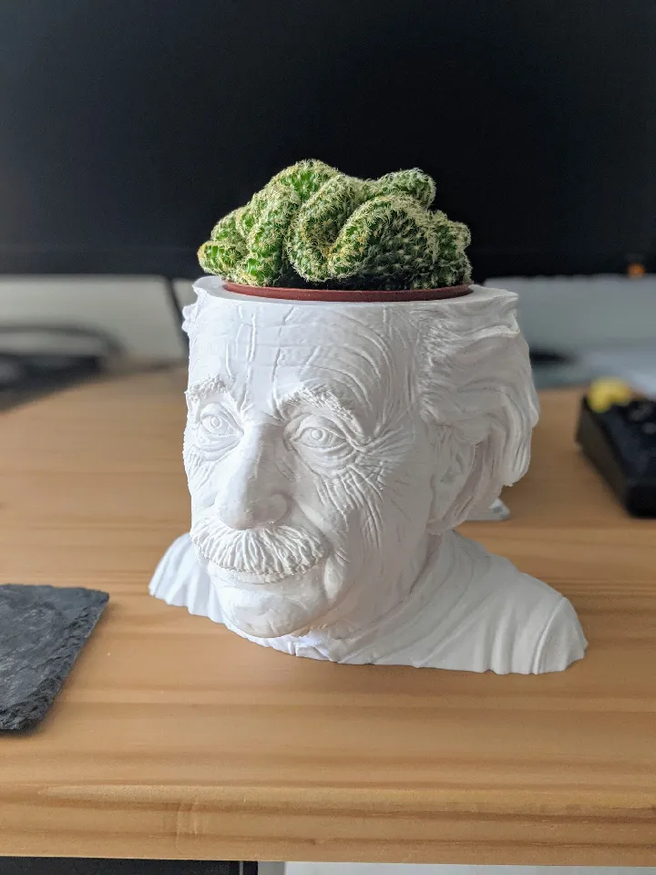 Einstein Bust Planter by toastipengi | Download free STL model ...