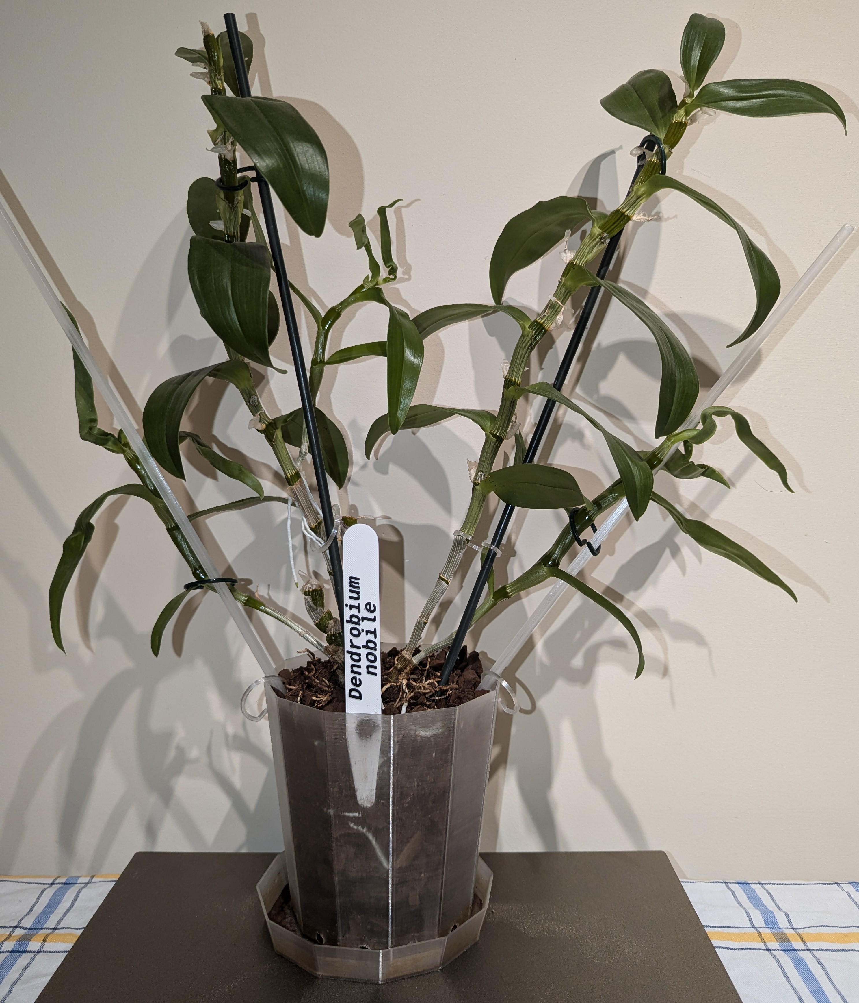 Parametric plant labels by Steve 3d | Download free STL model ...