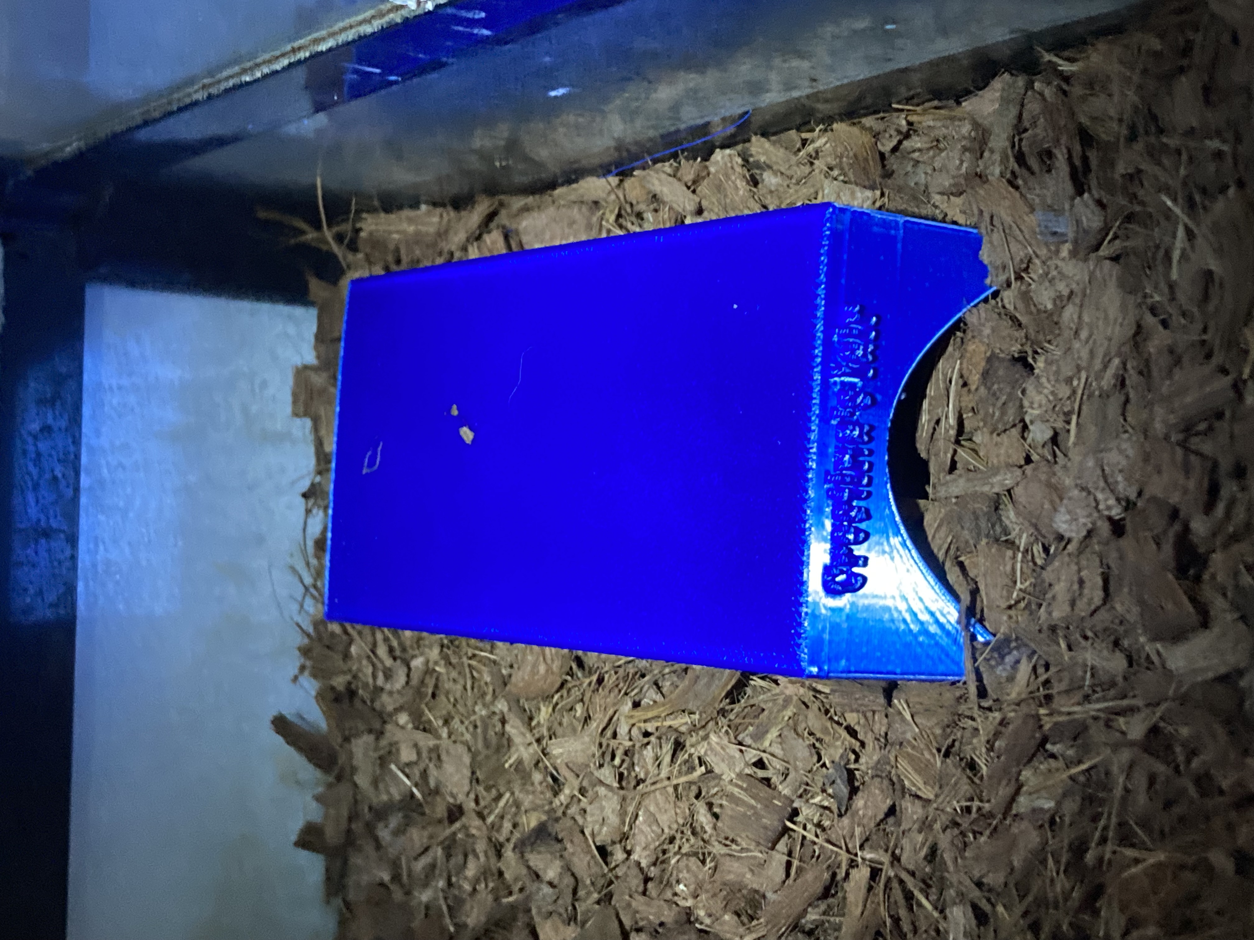 Gecko hide by Pandashark08 | Download free STL model | Printables.com