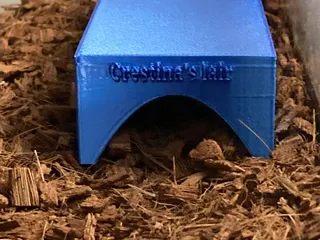 Gecko hide by Pandashark08 | Download free STL model | Printables.com