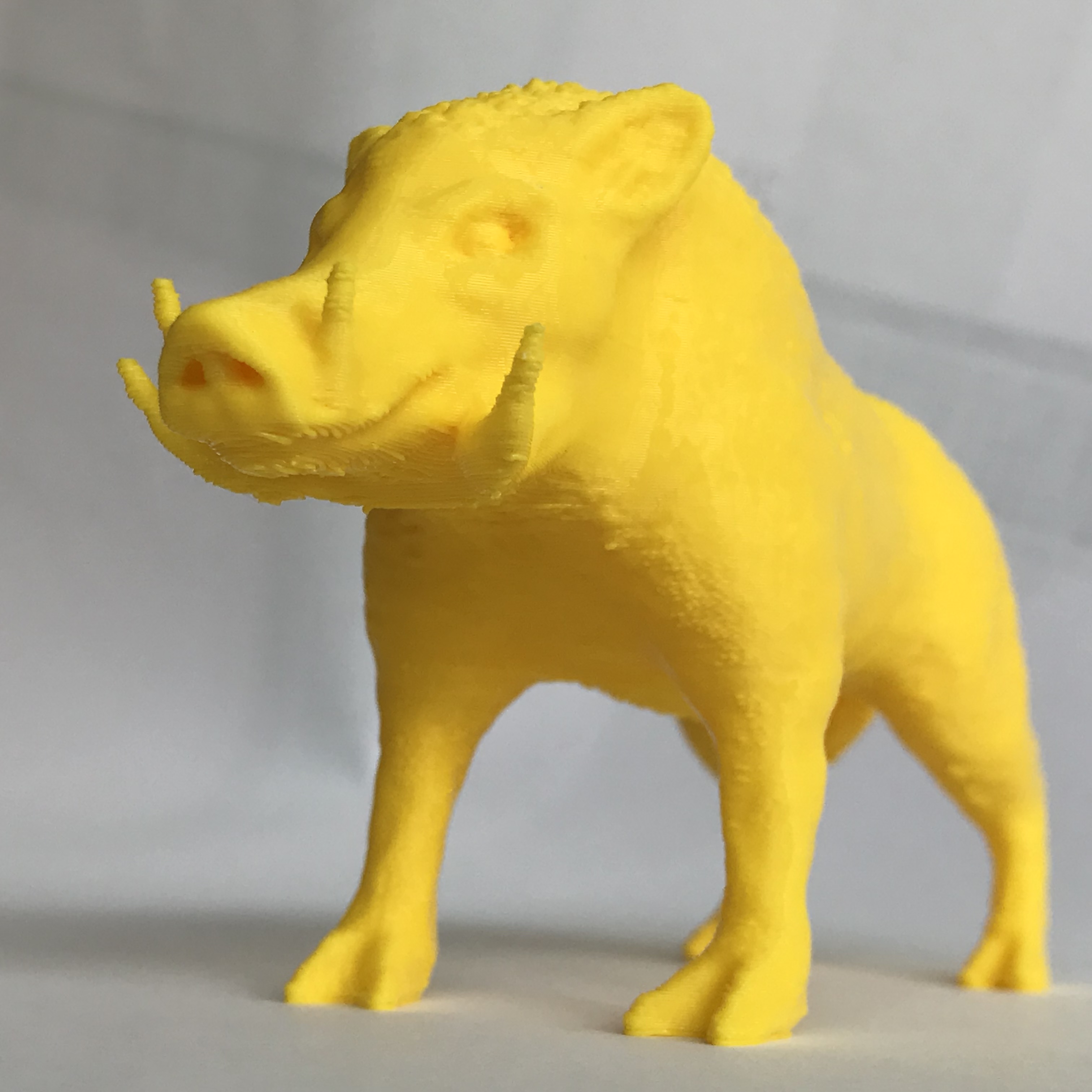 Mystery Boar (Dungeons & Dragons) by WHerzog | Download free STL model ...