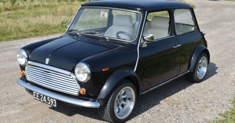 Morris Mascot Mini wall art by Torrid | Download free STL model ...