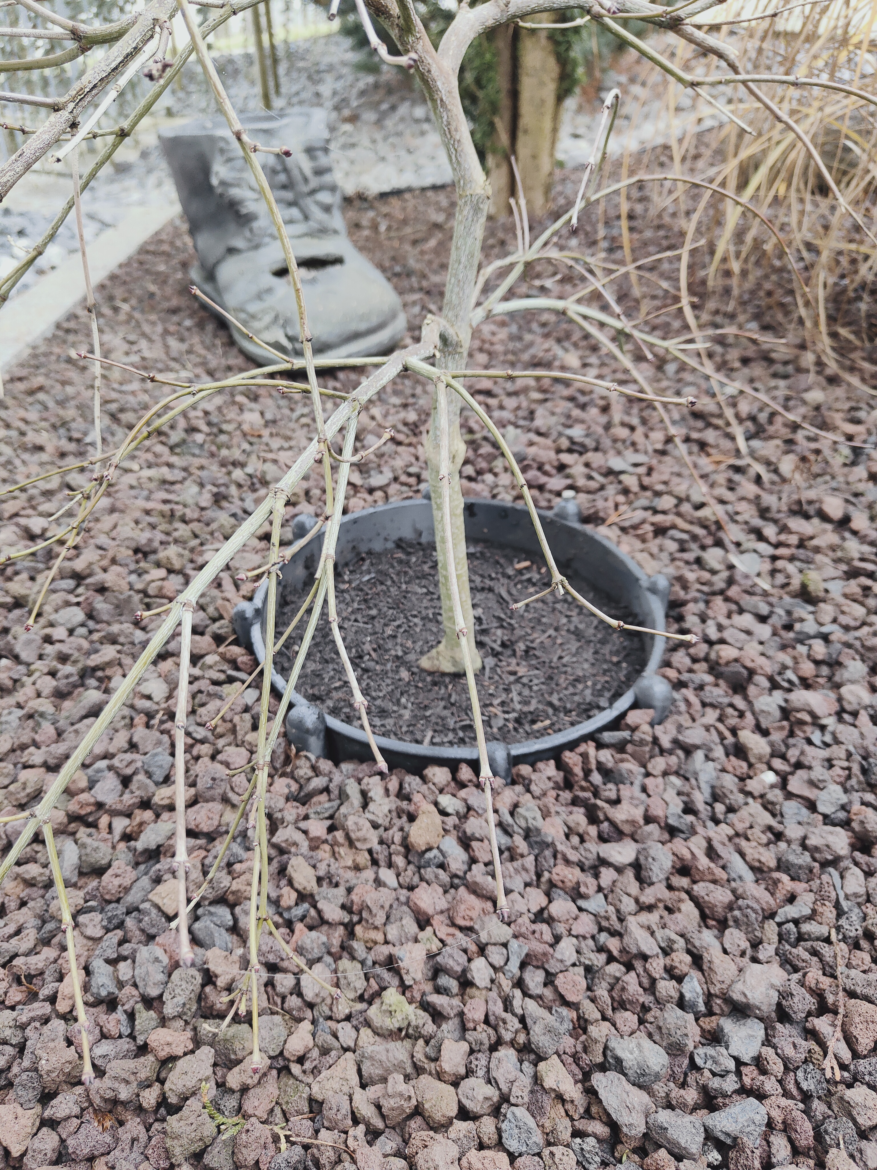 Planting Ring in 3 sizes (250mm - 280 mm - 380mm) by skroob | Download ...