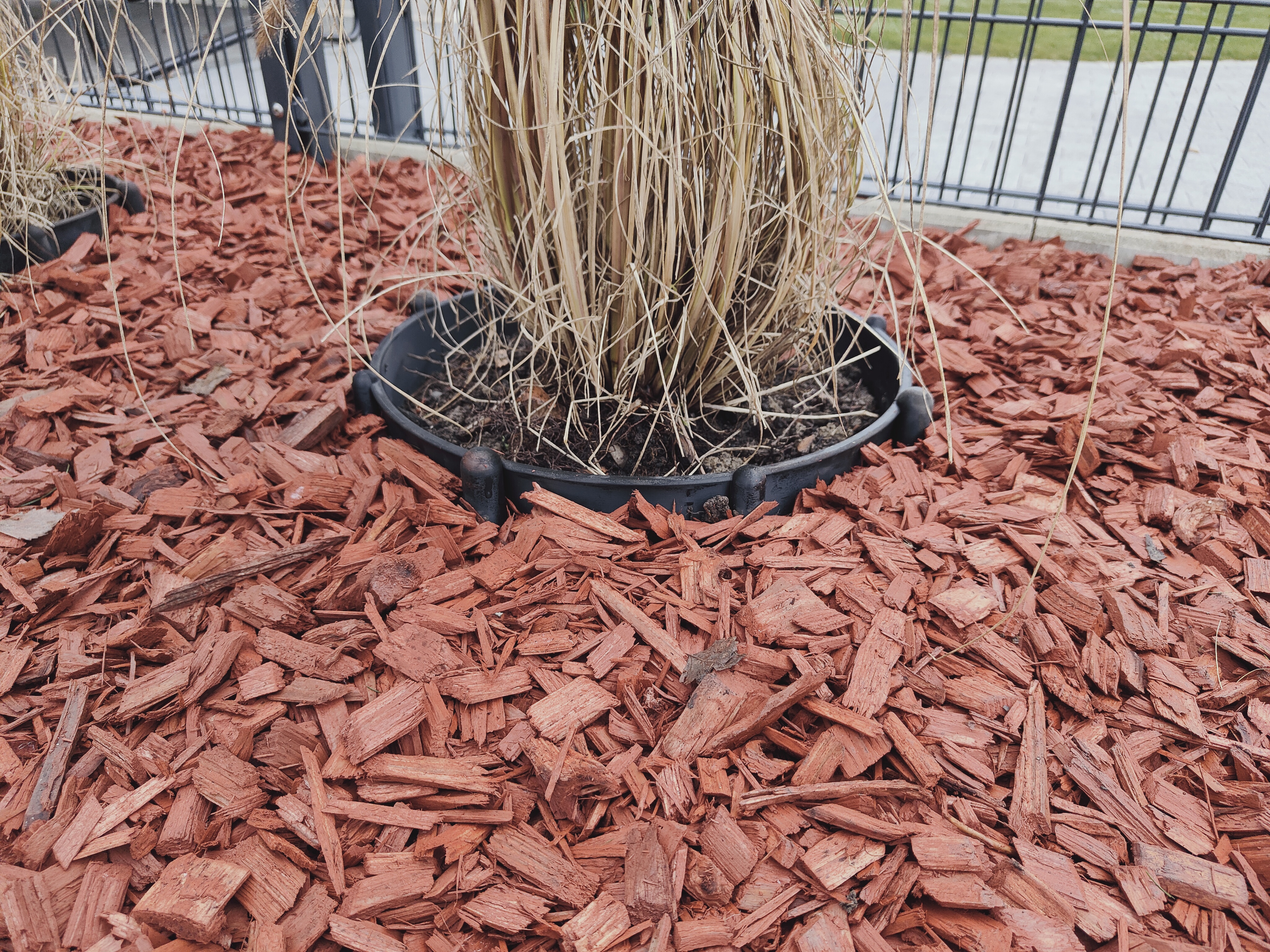 Planting Ring in 3 sizes (250mm - 280 mm - 380mm) by skroob | Download ...