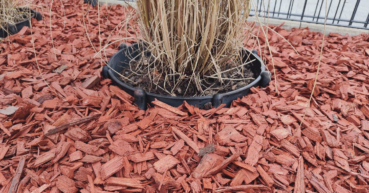 Planting Ring in 3 sizes (250mm - 280 mm - 380mm) by skroob | Download ...