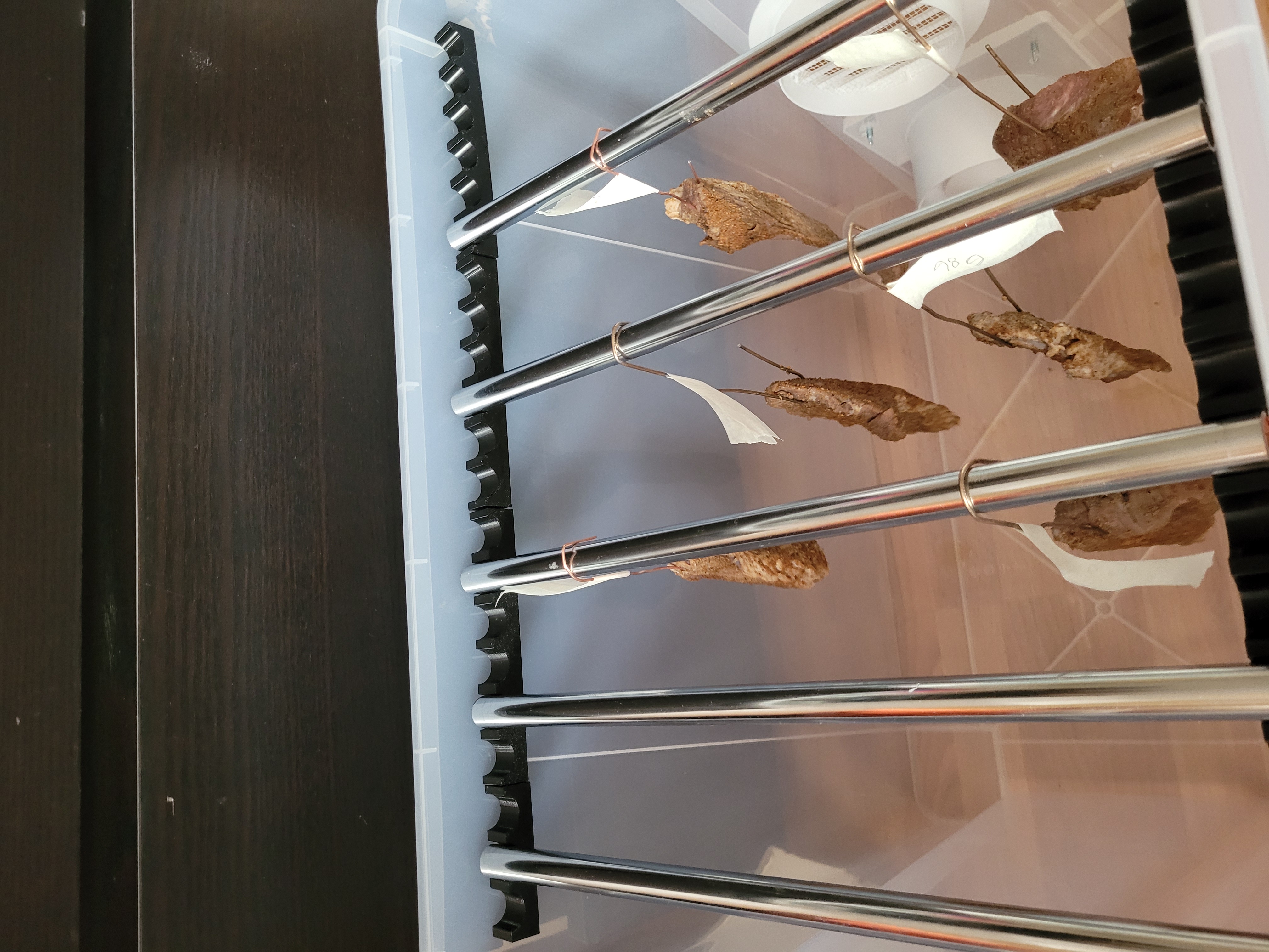 Biltong or Beef Jerky dry box rod rack by Jonas Gustafsson | Download ...
