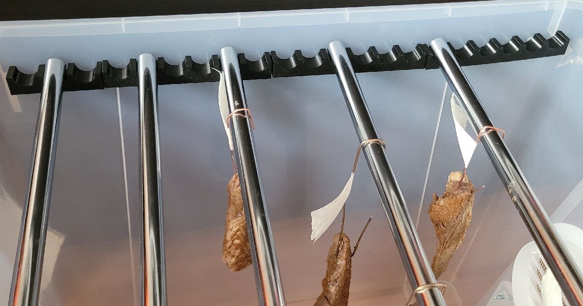 Biltong or Beef Jerky dry box rod rack by Jonas Gustafsson | Download ...