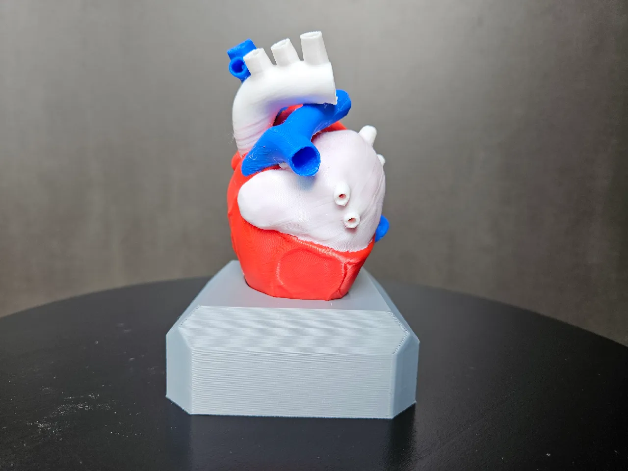 Stand for anatomical heart by MartinPP | Download free STL model ...