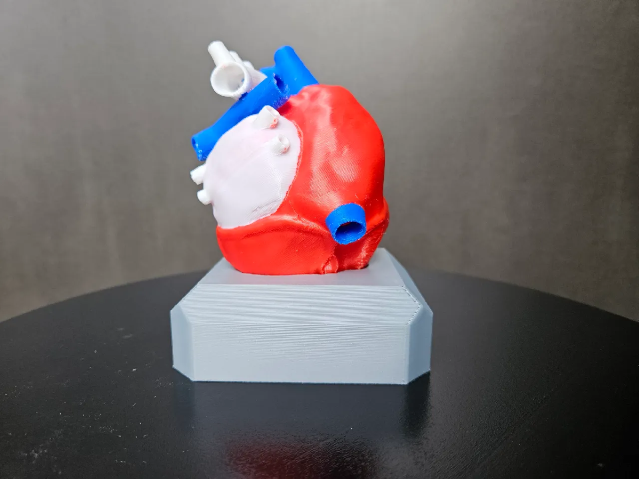 Stand for anatomical heart by MartinPP | Download free STL model ...