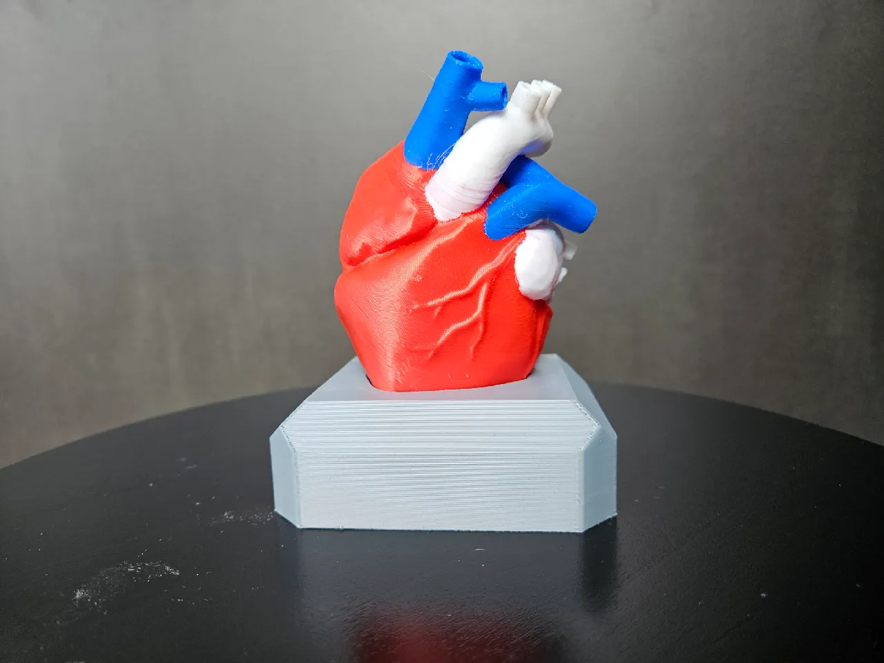 Stand for anatomical heart by MartinPP | Download free STL model ...