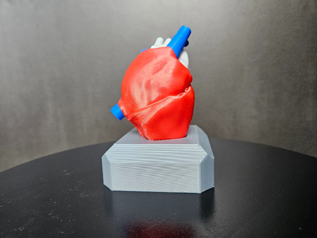 Stand for anatomical heart by MartinPP | Download free STL model ...
