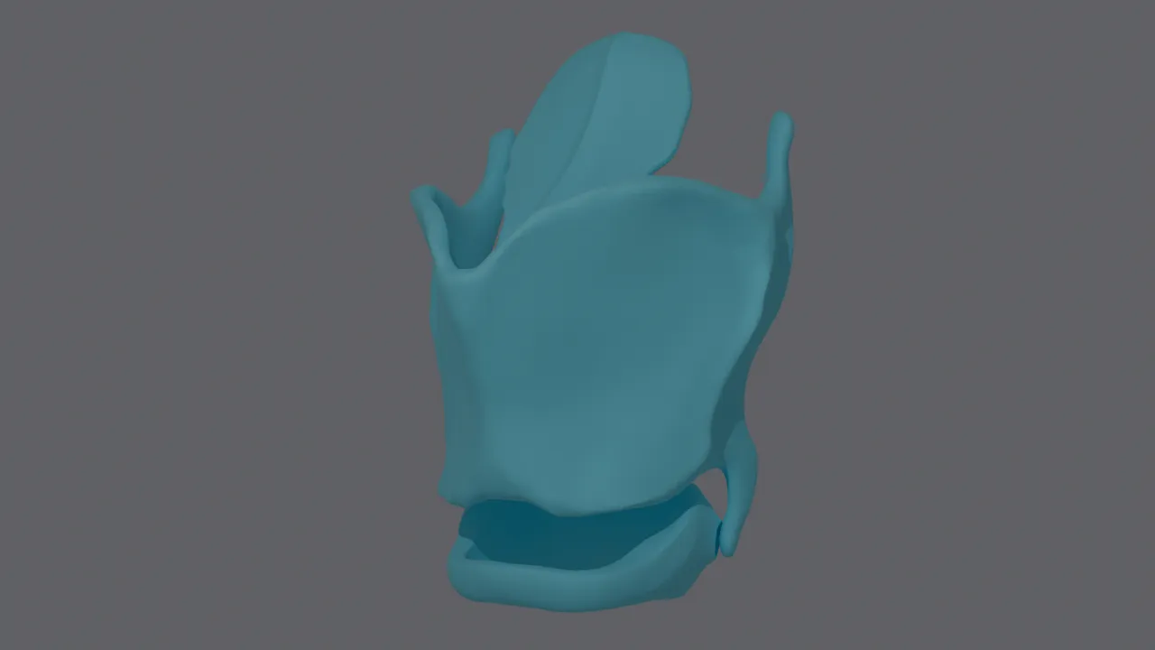 Larynx / Vocal Cord Cartilage (HighPoly) by Isopropyl Alcohol ...