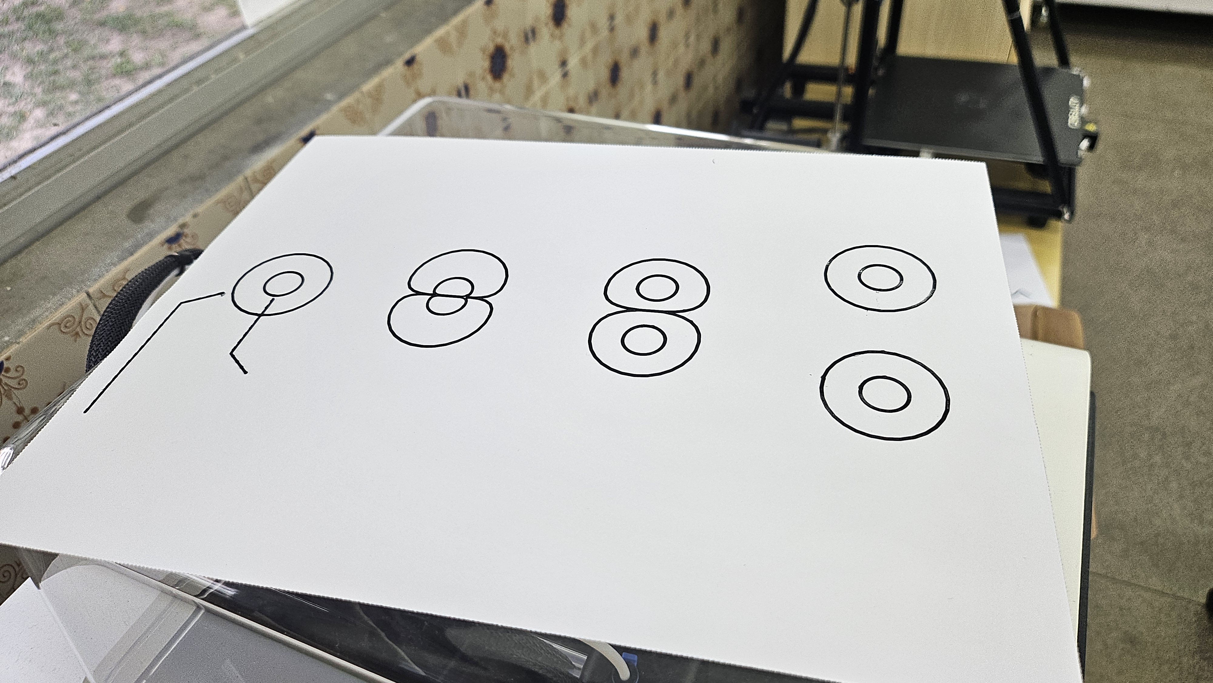 Tactile image: asexual reproduction (binary fission) by GutenBar ...