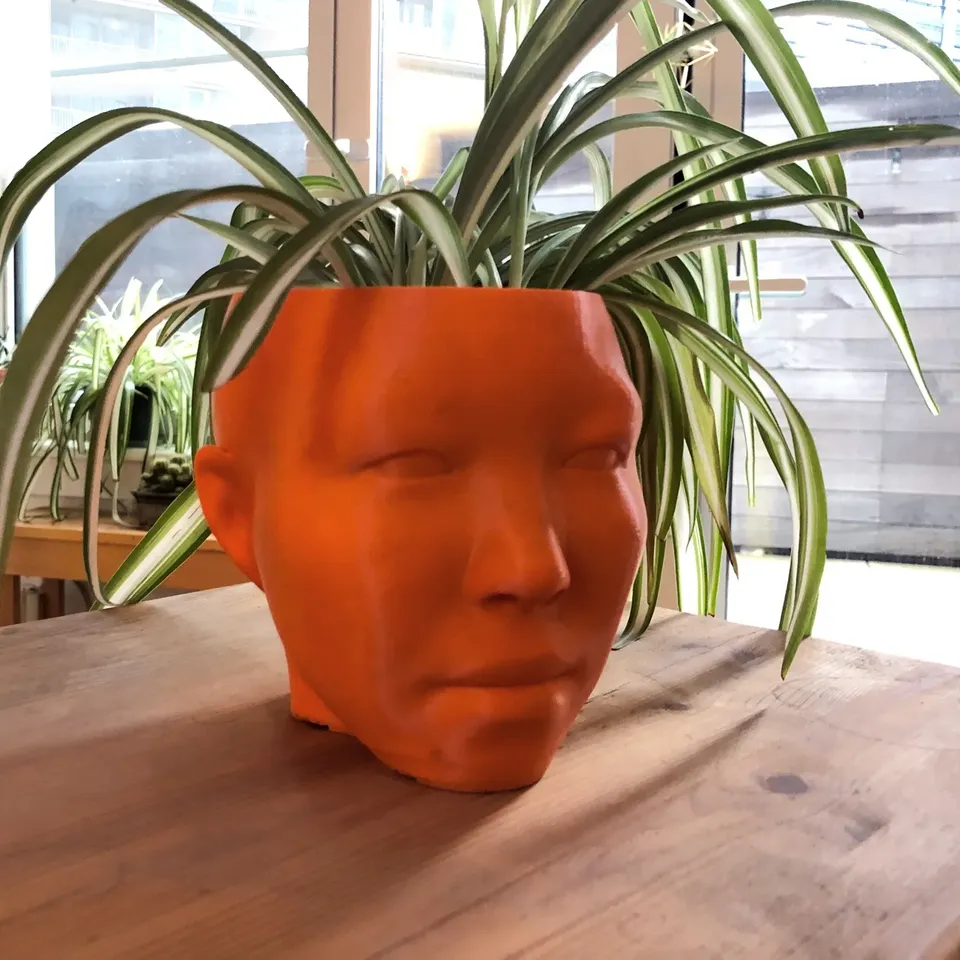 Friendly head planters by Jon May | Download free STL model ...