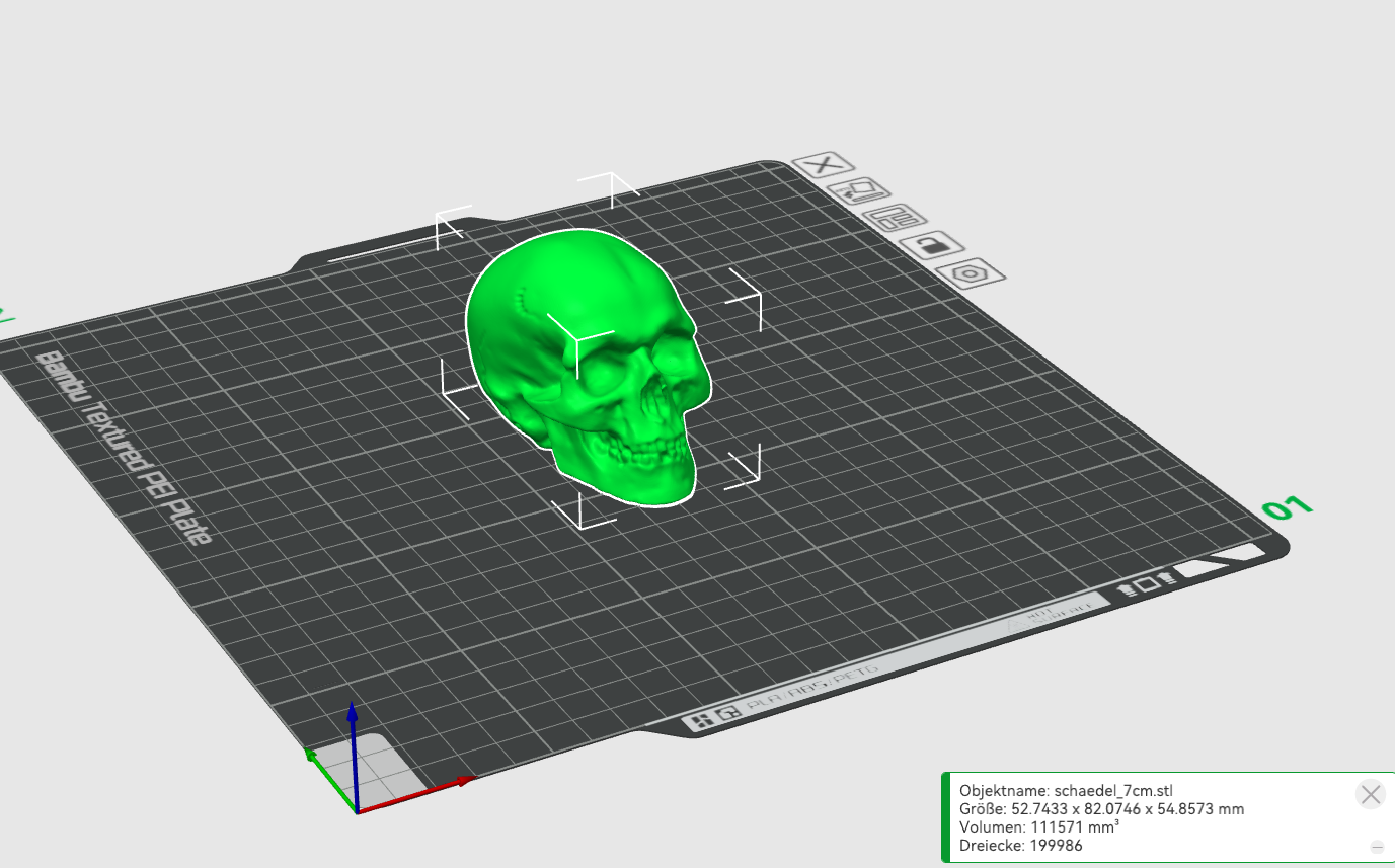 Schädel / Skull 3d Scan by Stephan (CapAlpha) Sagwitz | Download free ...