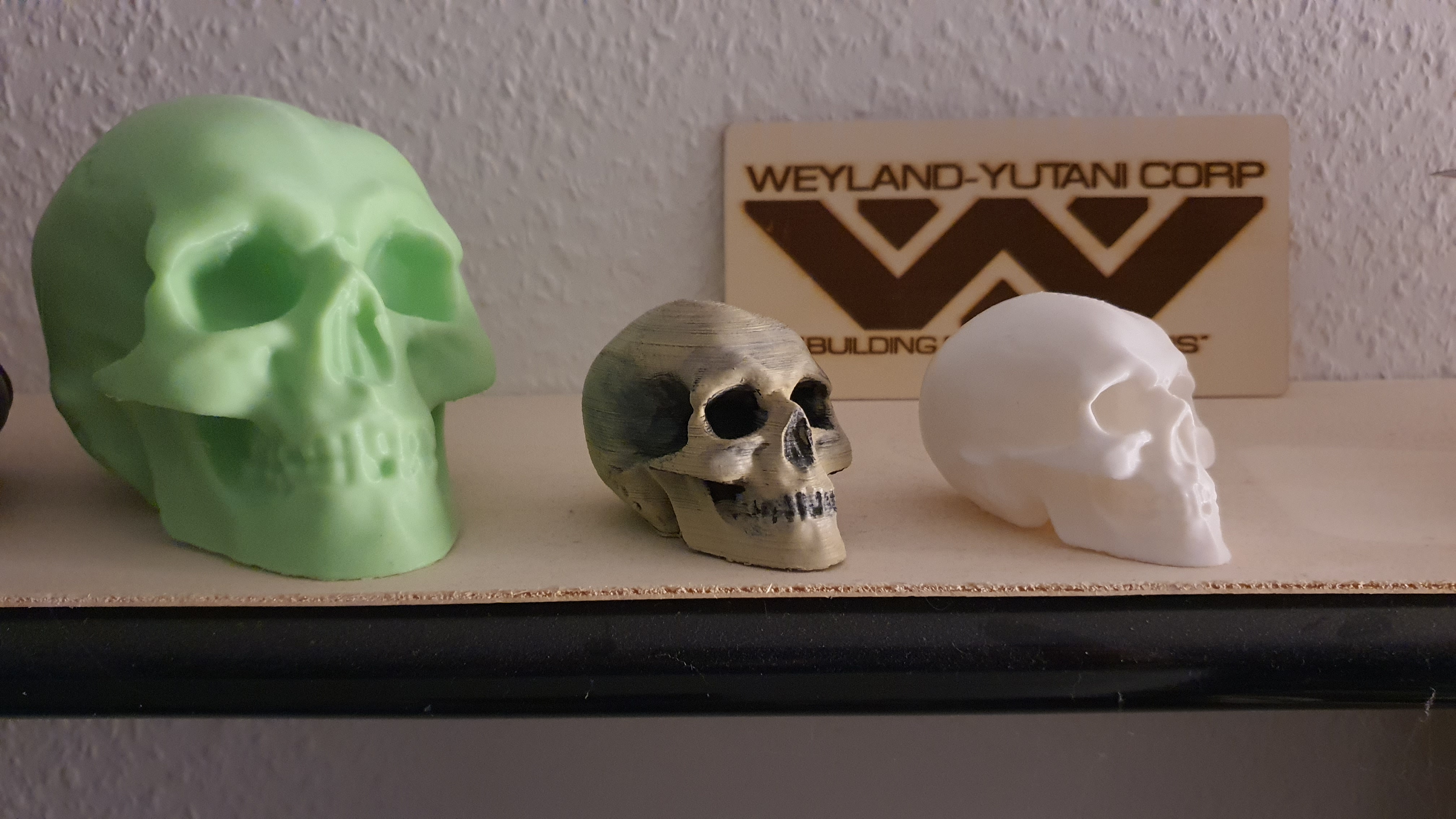 Schädel / Skull 3d Scan by Stephan (CapAlpha) Sagwitz | Download free ...