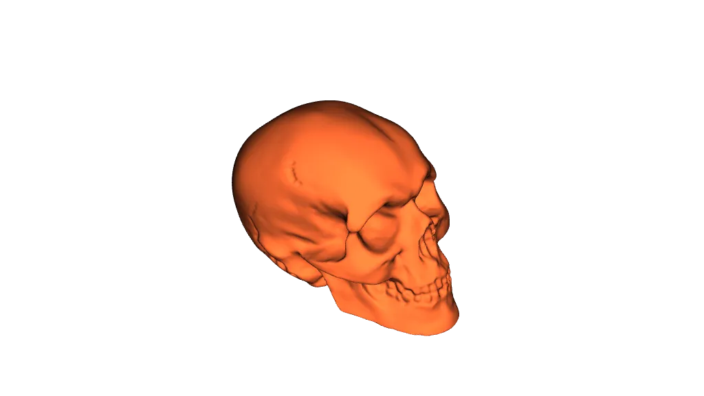 Schädel / Skull 3d Scan by Stephan (CapAlpha) | Download free STL model ...