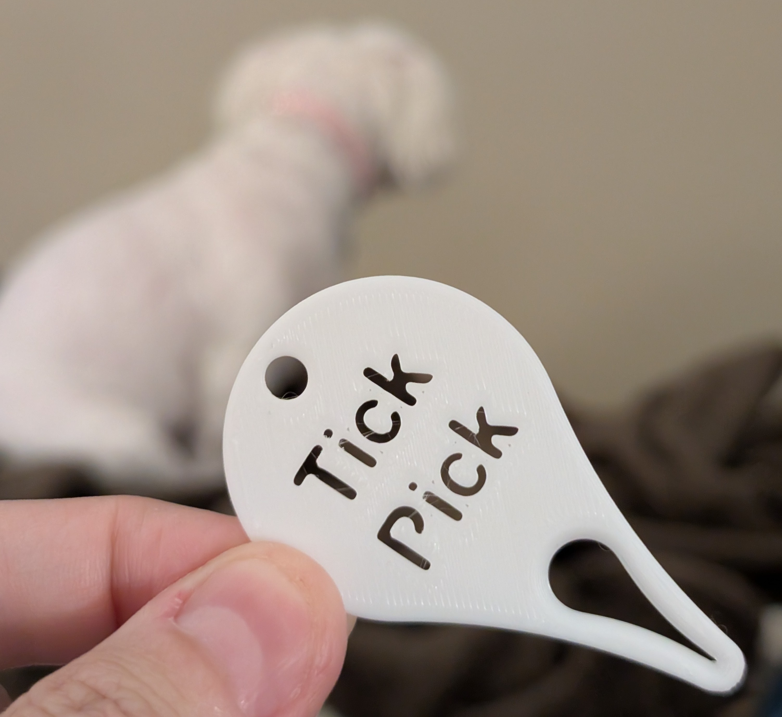 Tick Pick by stevekamerman | Download free STL model | Printables.com