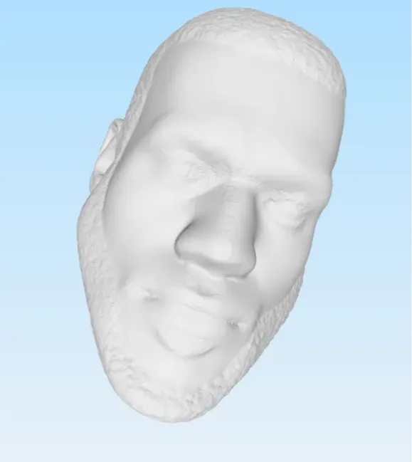 Lebrons James head by Dante Trent | Download free STL model ...