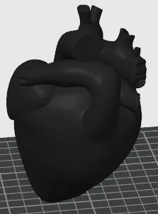 Realistic Heart by DesignerPL | Download free STL model | Printables.com