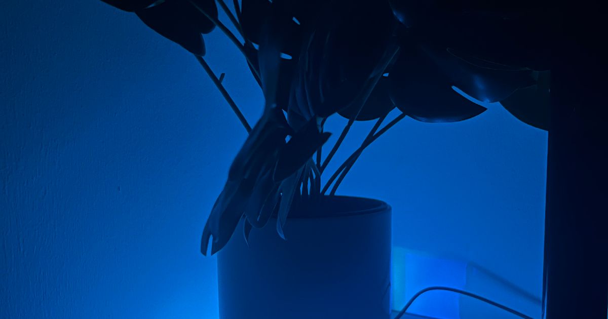 Light pod (LED planter stand) by imkasper | Download free STL model ...