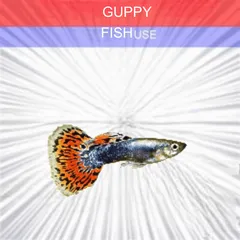 GUPPY models for 3D printer | Printables.com