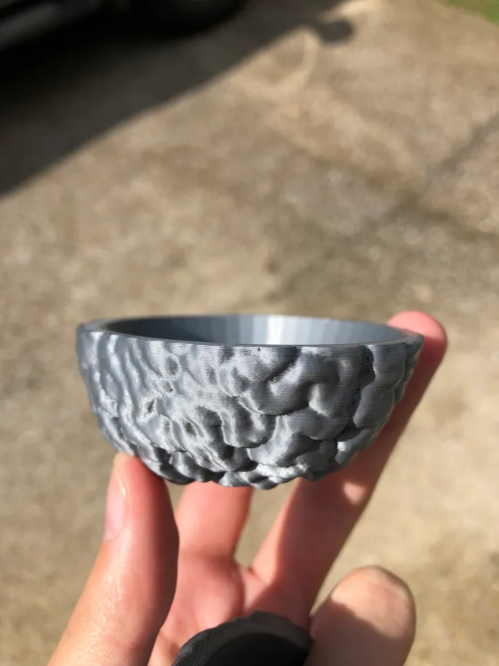Brain Bowl by SamaraMo | Download free STL model | Printables.com