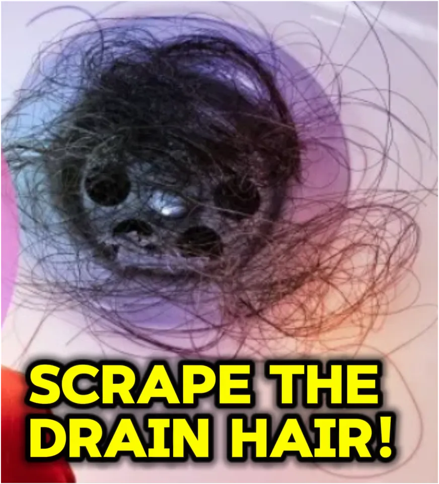 Shower drain hair scraper by Brayson Busenlehner | Download free STL ...