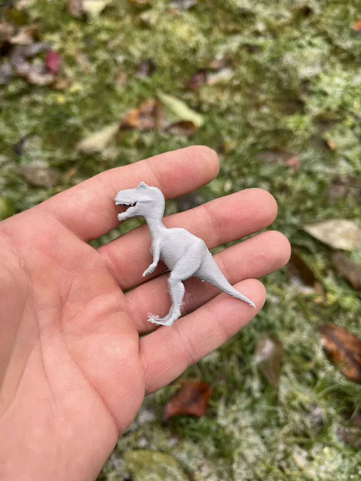 Dinosaur raptor by Ainon3Dtisk | Download free STL model | Printables.com