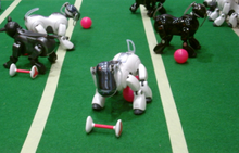 aibfrisbee [Frisbee for aibo ers-7 and for aibo ers-1000] by the Carlos Gutierrez guy on youtube ...