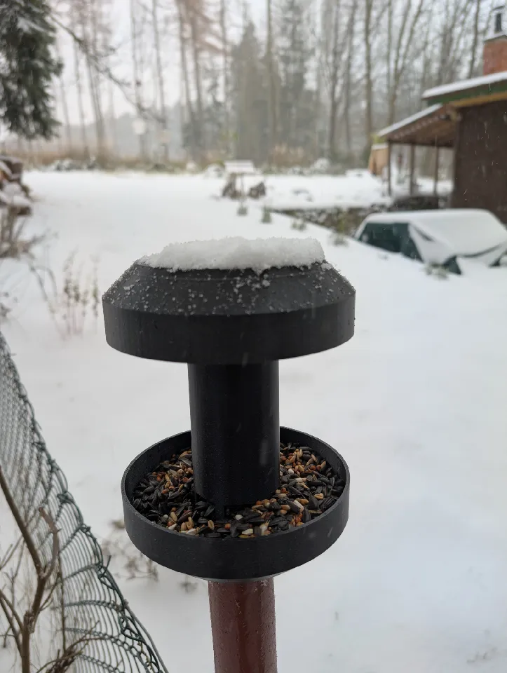 Bird feeder with buffer by RaQic | Download free STL model | Printables.com