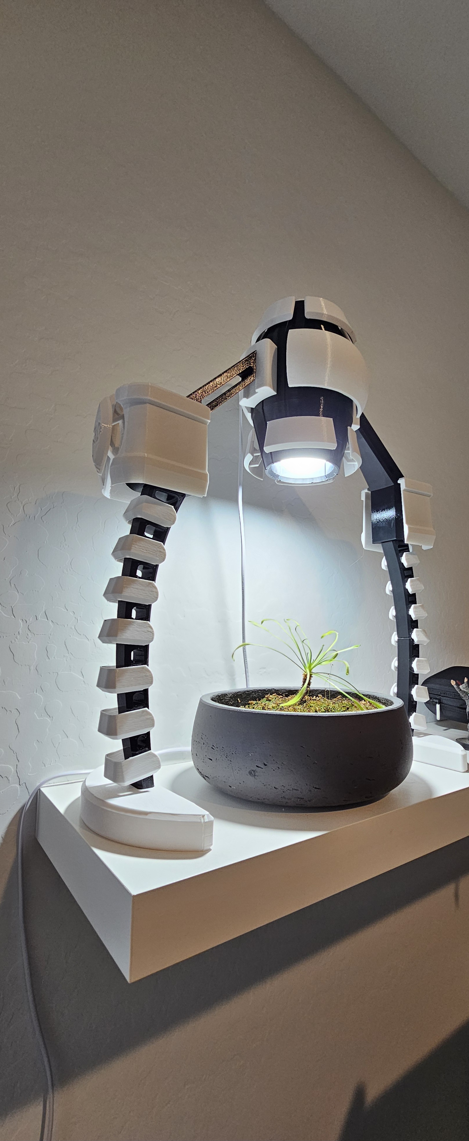 Leggy Lamp by Twogz | Download free STL model | Printables.com