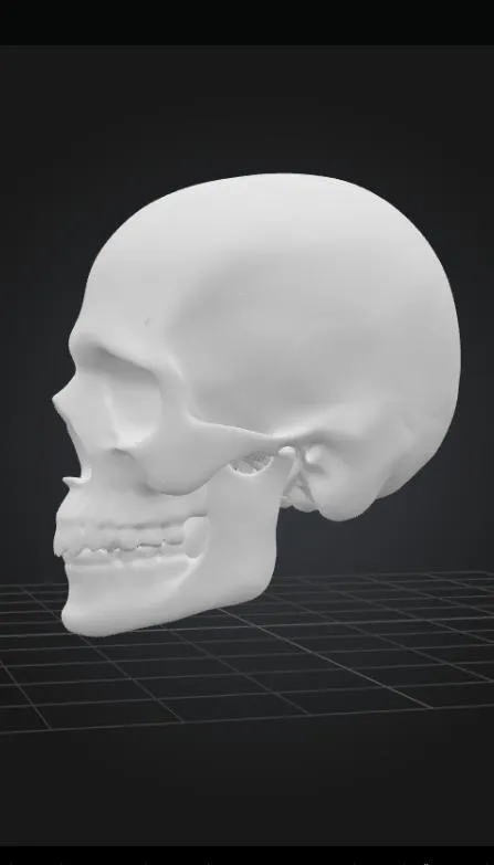 Skull Head by Persie0 | Download free STL model | Printables.com