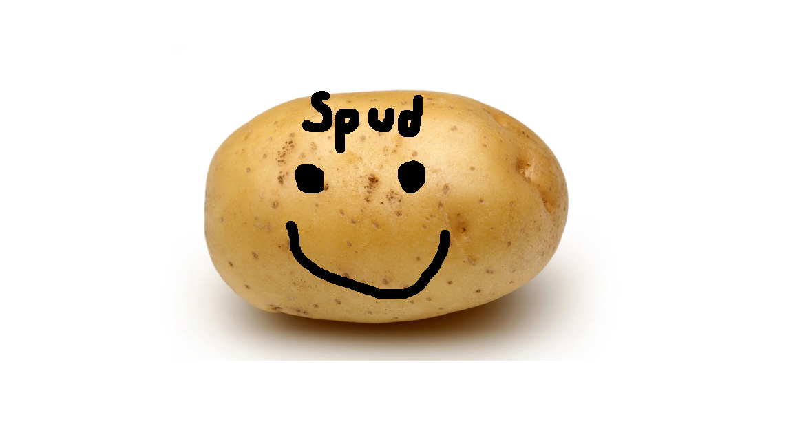 8x8 Lego Plate by Mail | Download free STL model | Printables.com