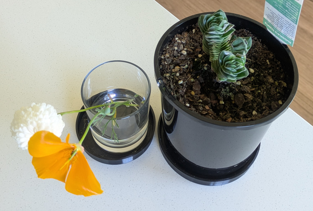 Parametric Plant Pot Base by Jamie | Download free STL model ...