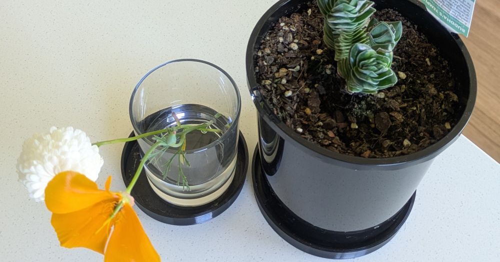 Parametric Plant Pot Base by Jamie | Download free STL model ...