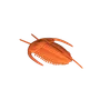 Trilobite by Peter Farell | Download free STL model | Printables.com