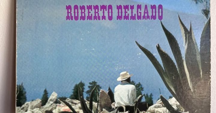 Now Playing - Wall Mounted Vinyl Record Holder by YVR3DPrints ...