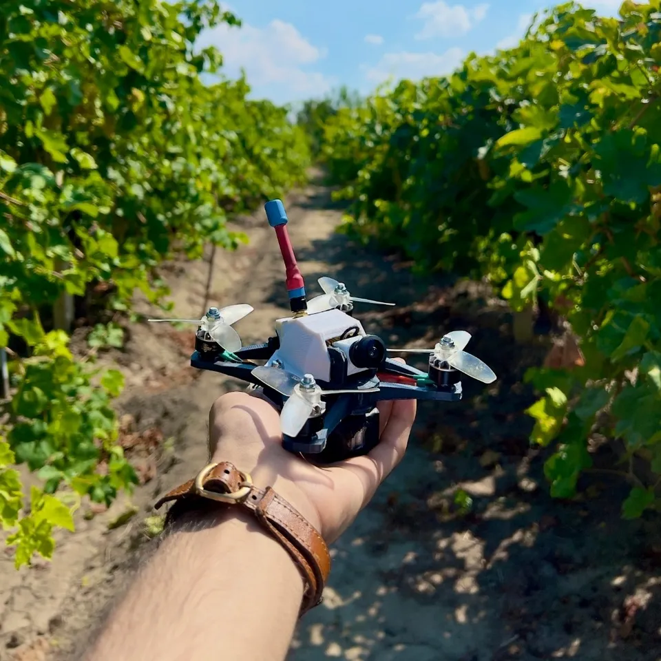 FPV Racing by Mahdi pilot | Download free STL model | Printables.com