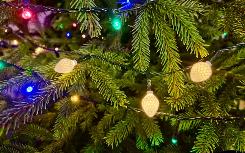 Christmas tree LED light cover by Bemko | Download free STL model ...