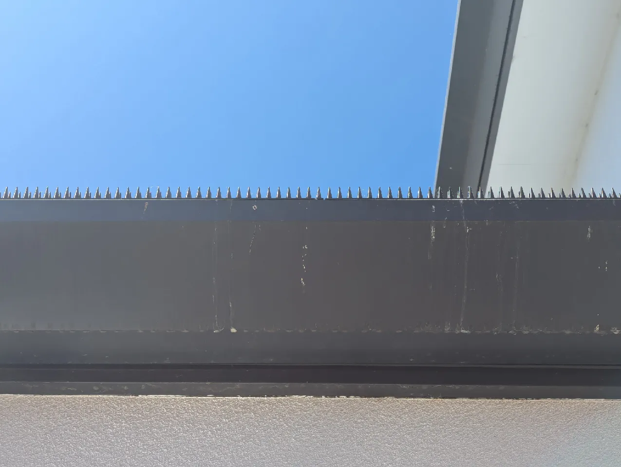 Bird Spike by PlasticBurner | Download free STL model | Printables.com