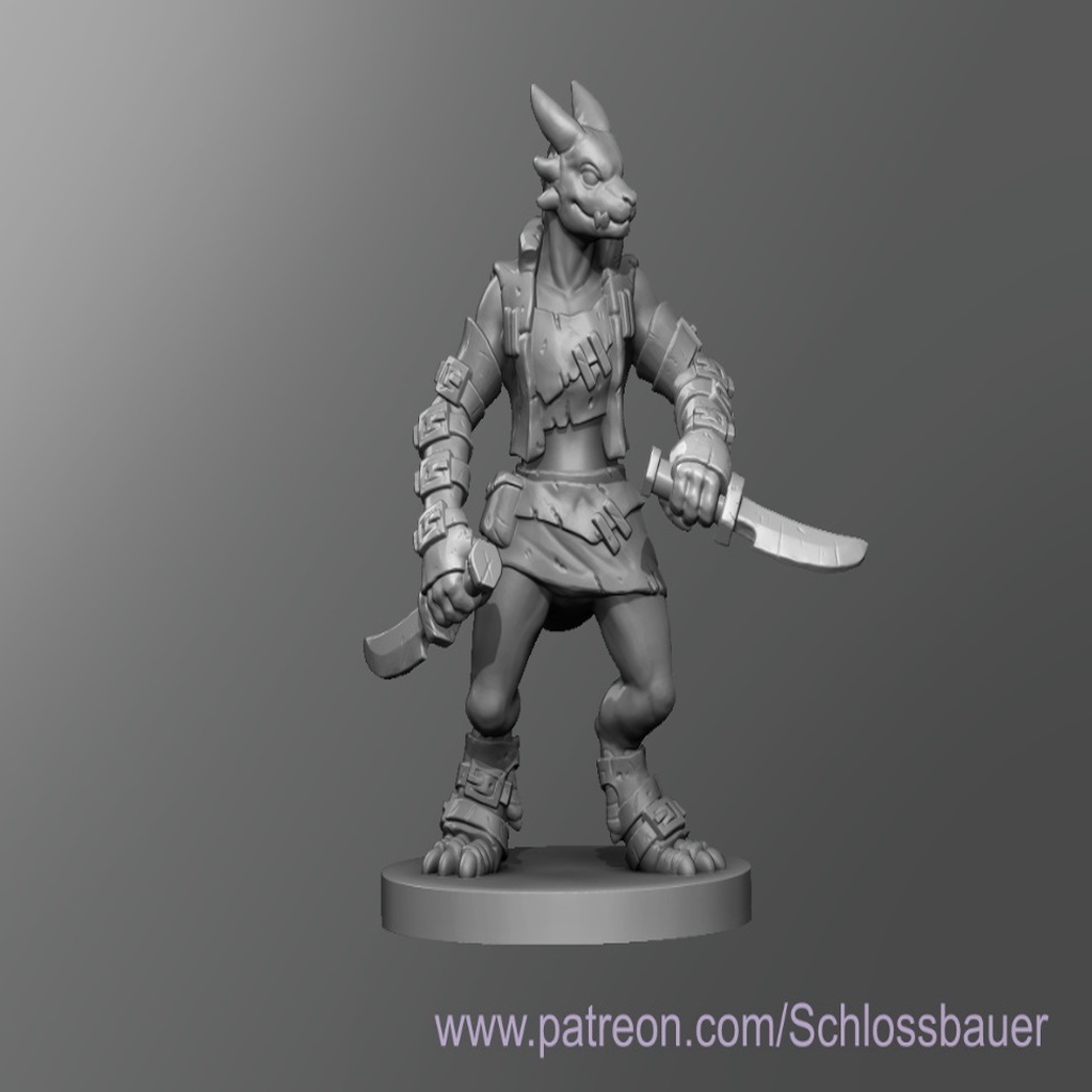 Kobold female ver.1 by Schlossbauer | Download free STL model ...