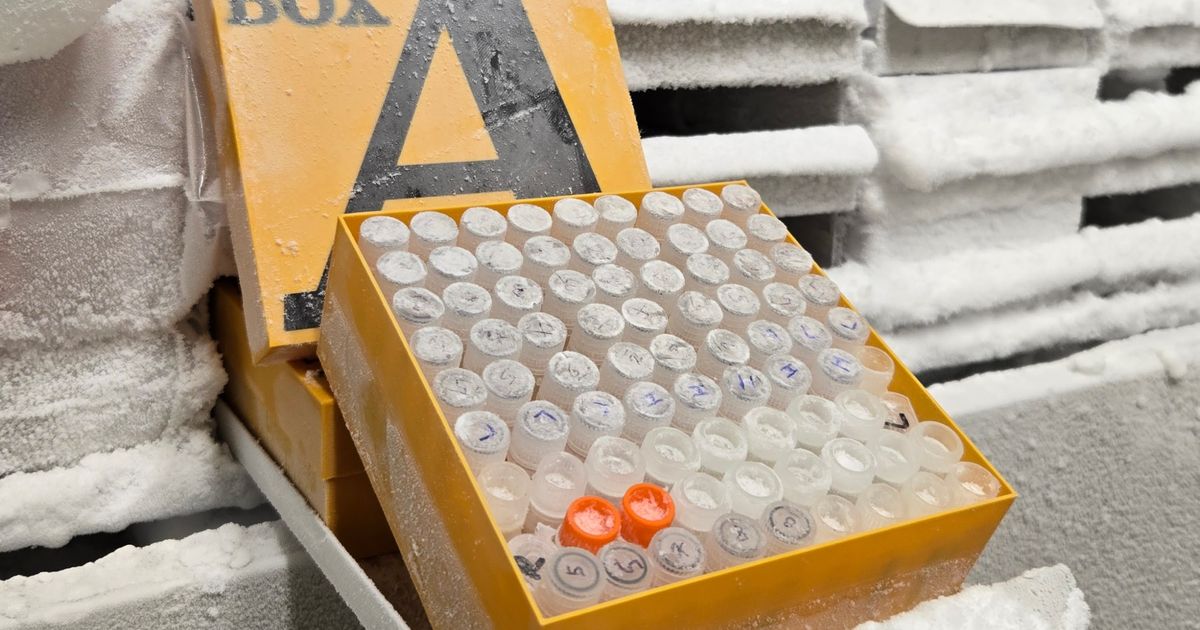 Cryobox, 81-slot (aka freezer box) by ning | Download free STL model ...