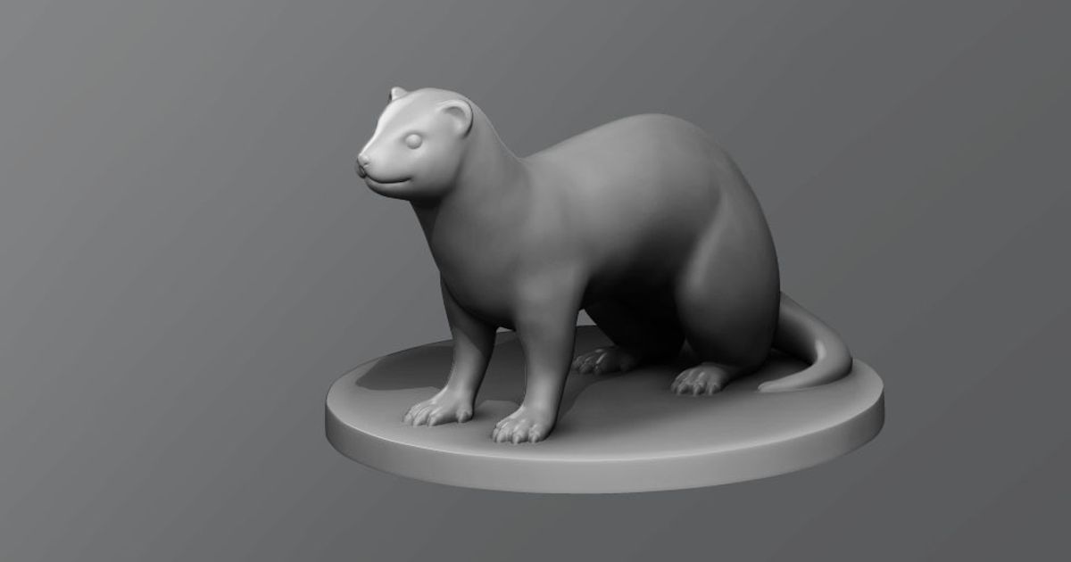 Ferret by Schlossbauer | Download free STL model | Printables.com
