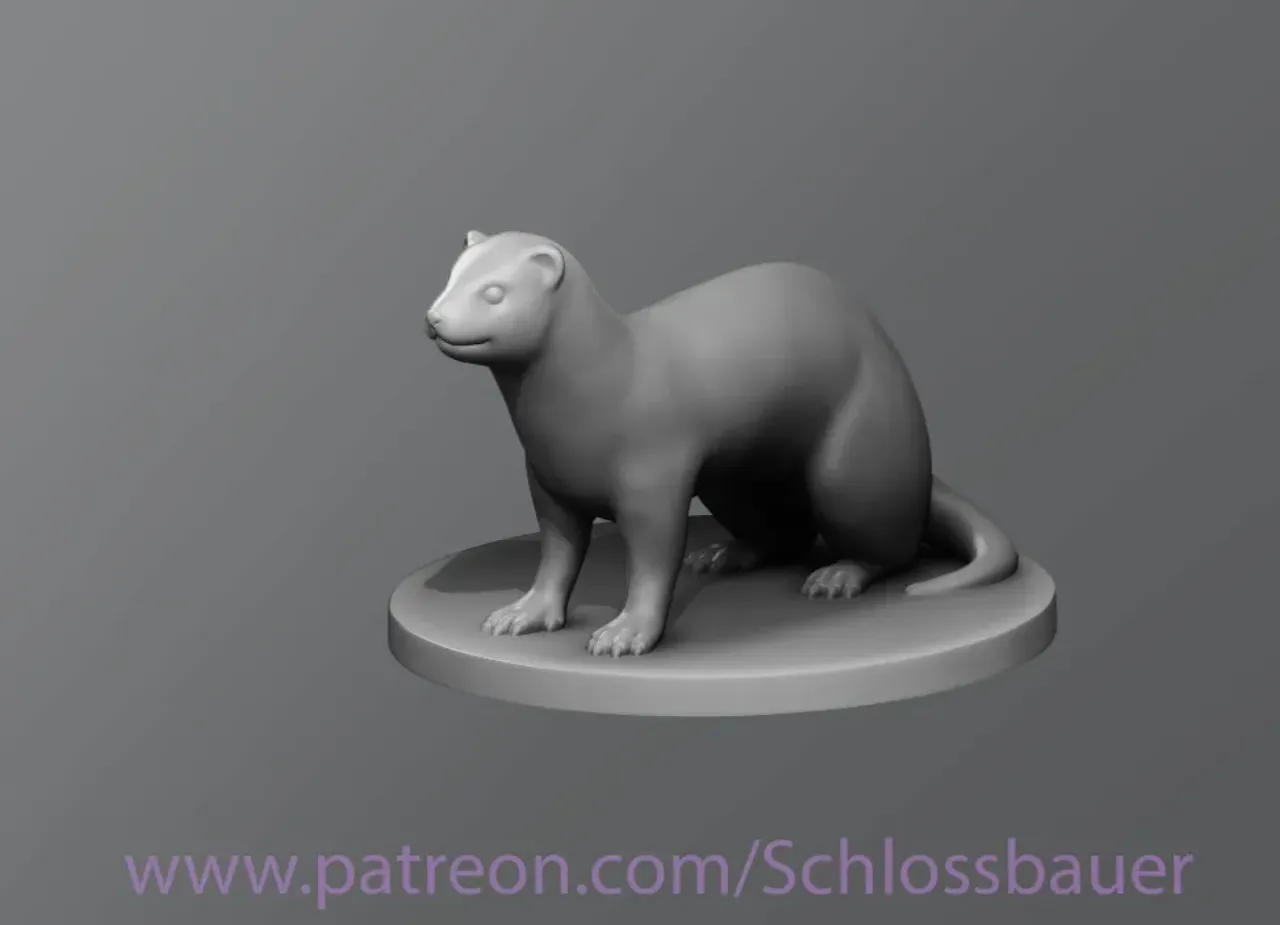 Ferret by Schlossbauer | Download free STL model | Printables.com