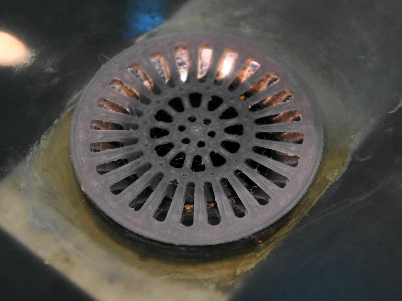 Drain Cover by Jack | Download free STL model | Printables.com